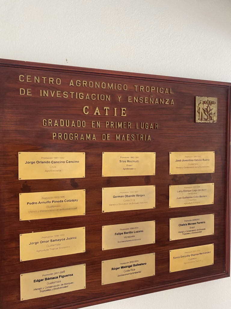 Egresada de la UNA obtuvo la distinción a mejor desempeño en el CATIE ...